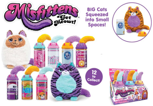 Misfittens Plush Misfittens Mystery Box 6 Packs Basic Fun - ToyWiz