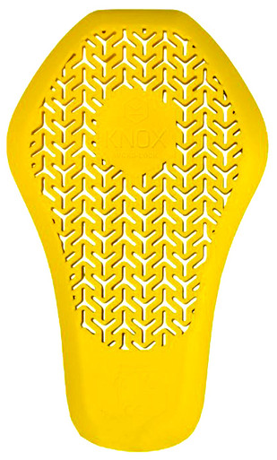 Cortech Knox Back Armor - Speed Addicts