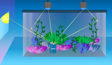 Taking Control of the Immersion Effect - Apogee Instruments, Inc.