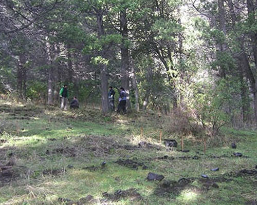 PAR Measurements Characterize Tree Coverages - Case Study - Apogee ...