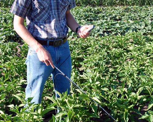 AM-310 Sensor Wand - Apogee Instruments, Inc.