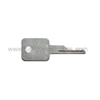 58917261 Switch Key