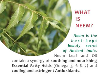 Top 5 Ways to use Neem for Teeth and Gums - All About Neem