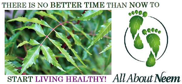 What is Neem? A woman's story on how Neem saved her life. - All About Neem