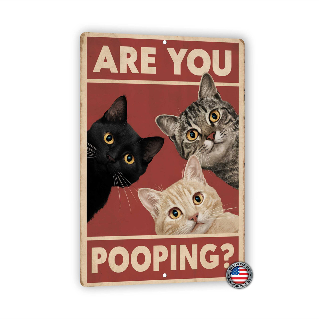 Funny Cat Sign - 8x12 Inch 'Are You Pooping?' Wall Art With Cats ...