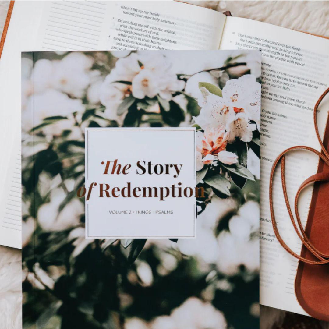 The Story Of Redemption Vol. 2 Women's Bible Study - Beth's Creations
