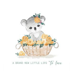 Captured Expressions Designs 1314 Precious Bundle - Beth's Creations