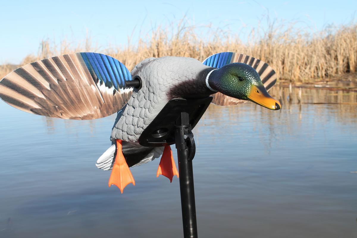 MOJO Outdoors Elite Series Mini Mallard Drake Decoy - Dance's Sporting ...