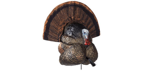 Flextone Thunder Creeper Strutter Decoy - Dance's Sporting Goods
