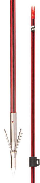 Cajun Wasp Arrow With 4 Barb Stinger - Dance's Sporting Goods