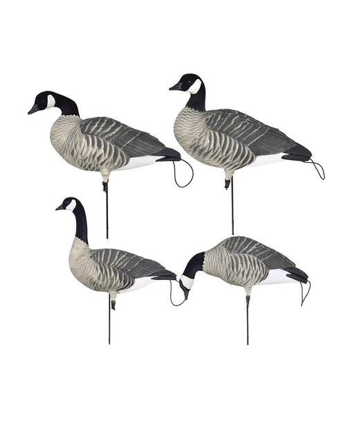 Greenhead Gear Pro Flex Full Body Goose Decoys - Honker Harvester Pack ...