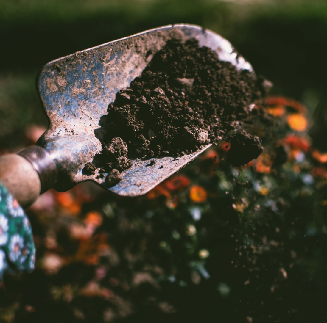 Sowing seeds of happiness: Emotional well-being while home gardening ...