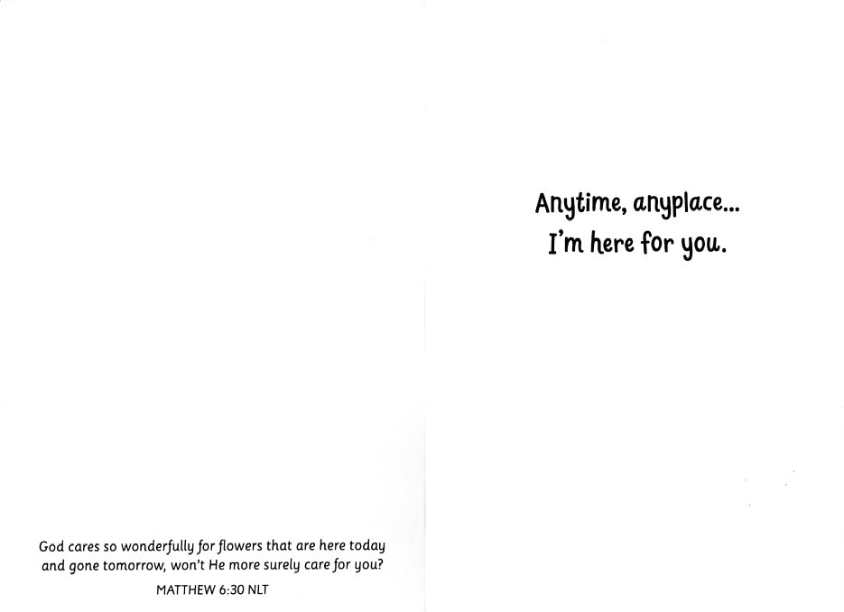 Dayspring Peanuts Greeting Cards