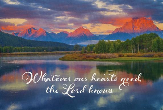 DaySpring Greeting Cards : Praying for You Cards
