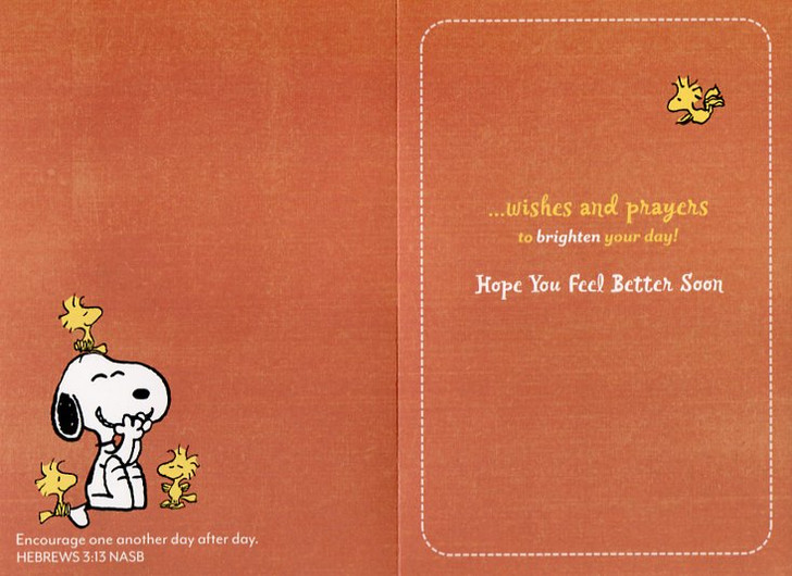 Peanuts Greeting Cards : Get Well Cards