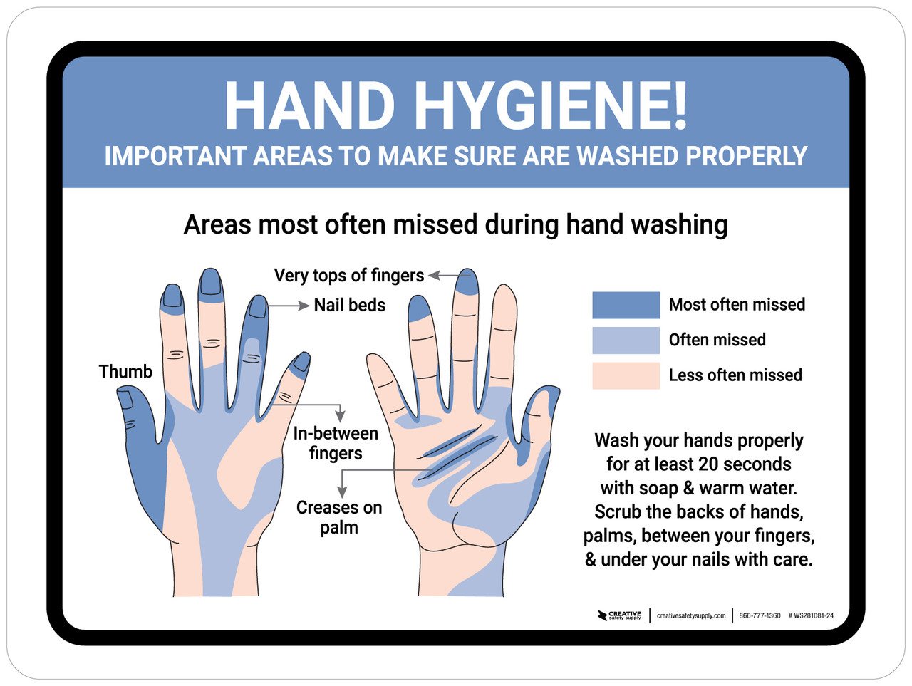 Hand Hygiene Important Areas to Wash Properly Landscape - Wall Sign