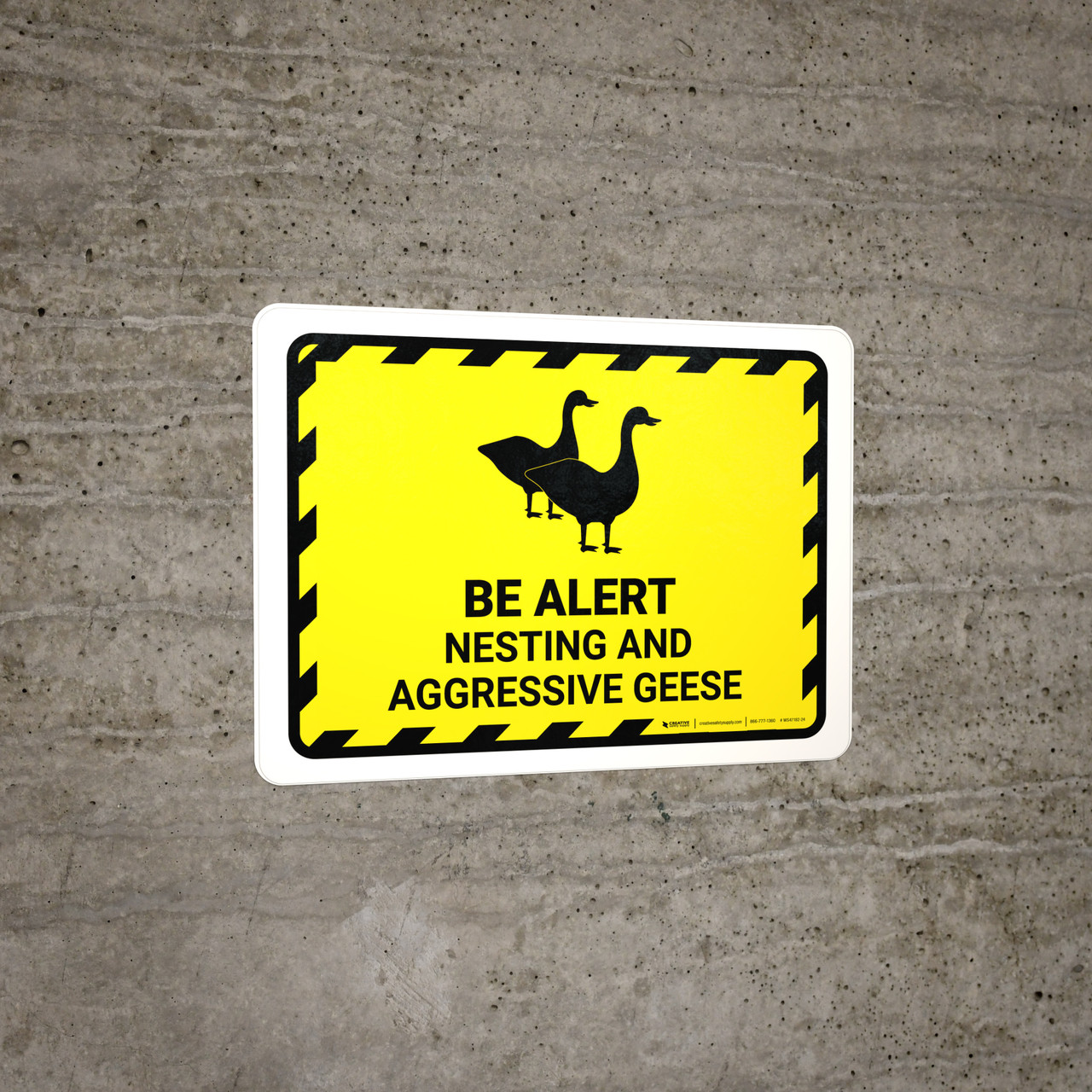 Be Alert - Nesting And Aggressive Geese Landscape - Wall Sign