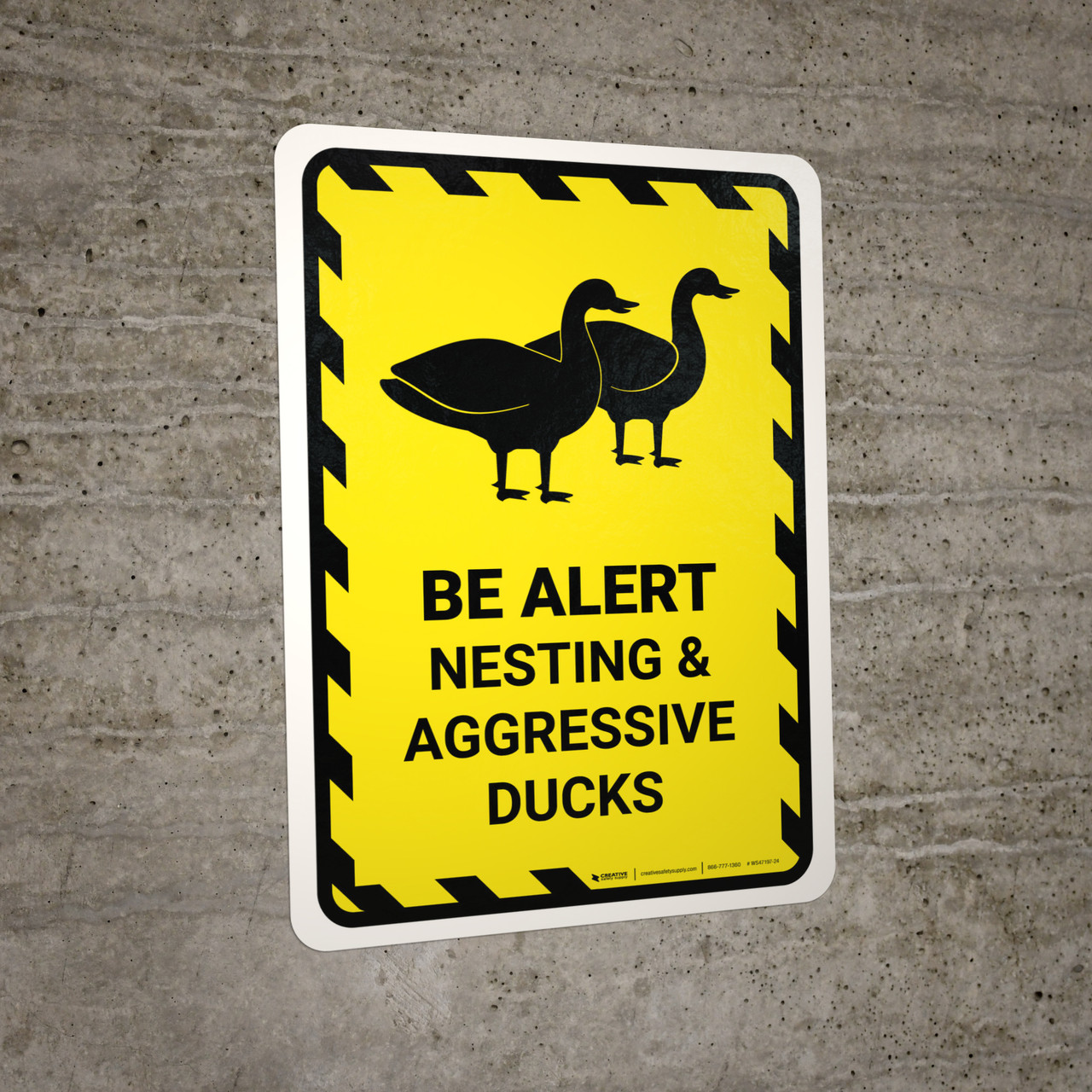Be Alert - Nesting And Aggressive Ducks Portrait - Wall Sign