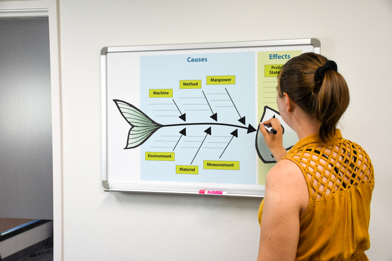Fishbone Dry Erase Board