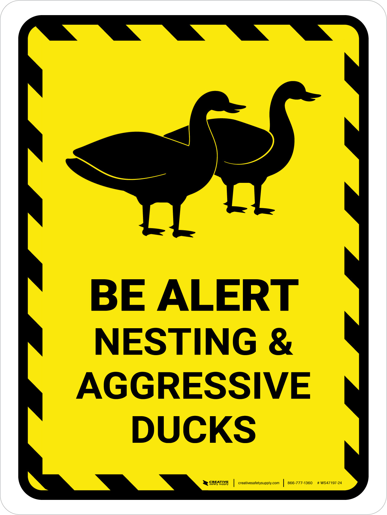 Be Alert - Nesting And Aggressive Ducks Portrait - Wall Sign