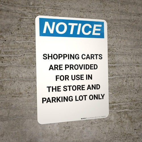 Notice: Shopping Carts Are Provided for Use In The Store Portrait