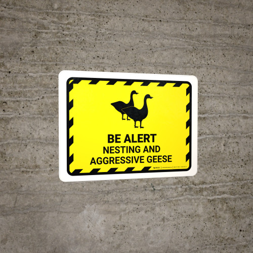 Be Alert - Nesting And Aggressive Geese Landscape - Wall Sign