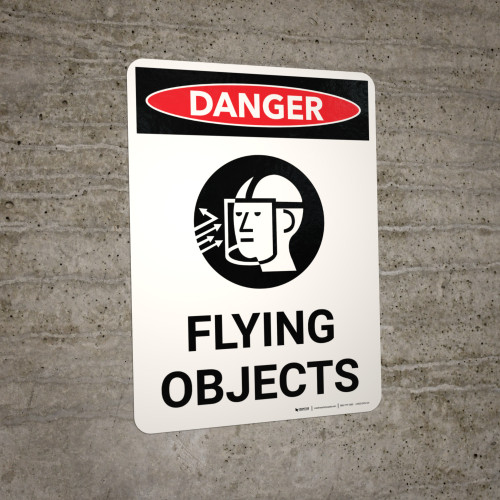 Danger: Flying Objects Portrait with Icon - Wall Sign