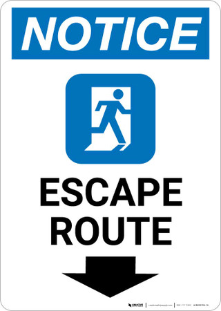 Notice: Escape Route Down Arrow with Icon Portrait