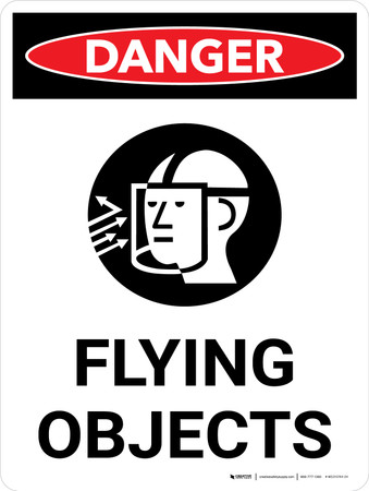 Danger: Flying Objects Portrait with Icon - Wall Sign