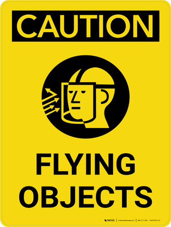 Caution: Flying Objects Portrait With Icon - Wall Sign