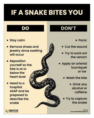 Snake Bites Quotes