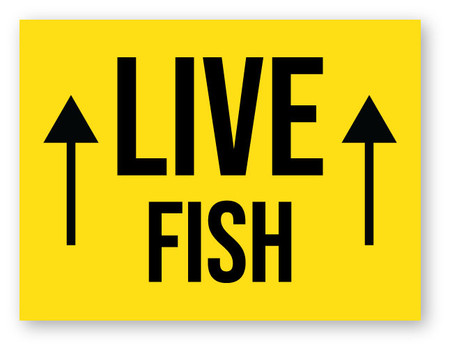 Live Fish Arrows Up Yellow - Shipping Label | Creative Safety Supply