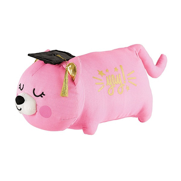 Graduation Autograph Cat - Party Time, Inc.