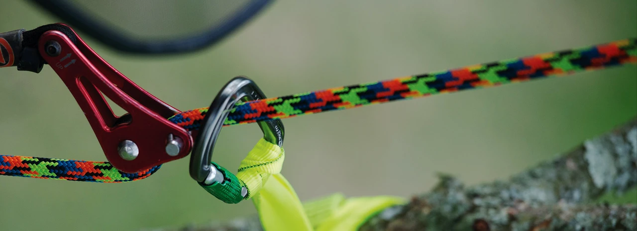 What type of rope do arborists use? - Bishop Lifting