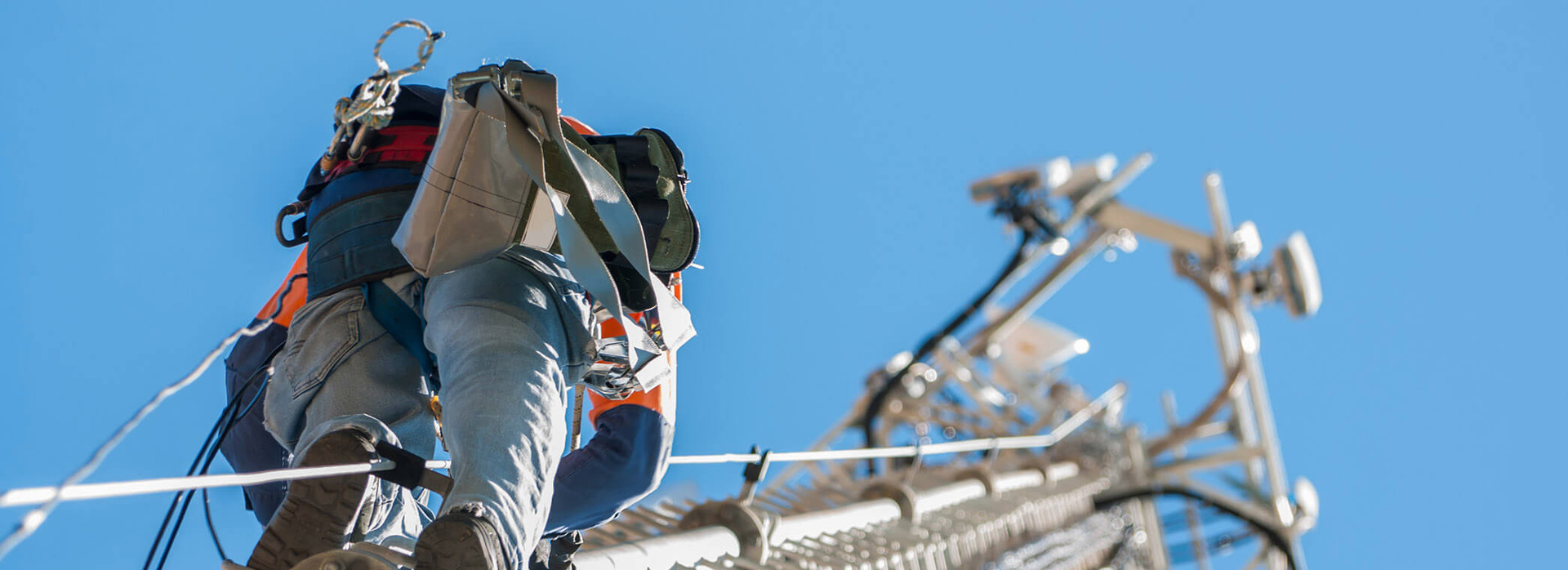 What is the difference between a rescue harness and a fall protection ...