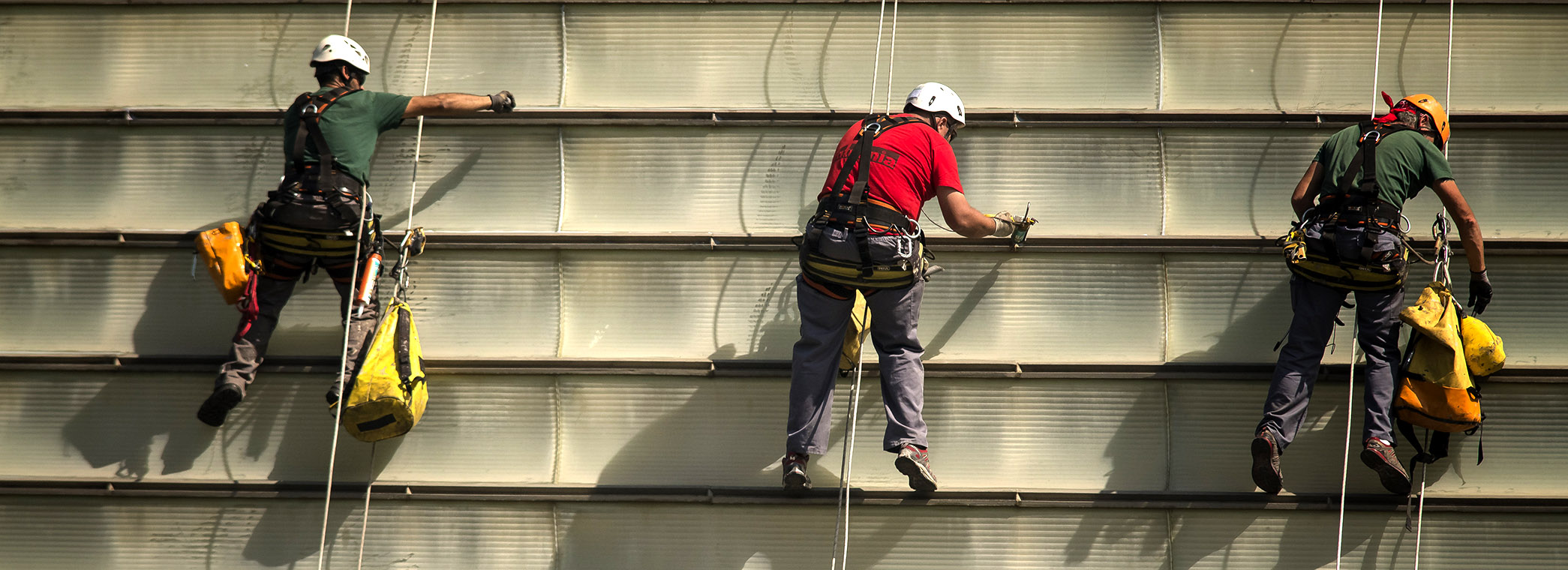 What are the OSHA standards for fall protection harnesses? - Bishop Lifting