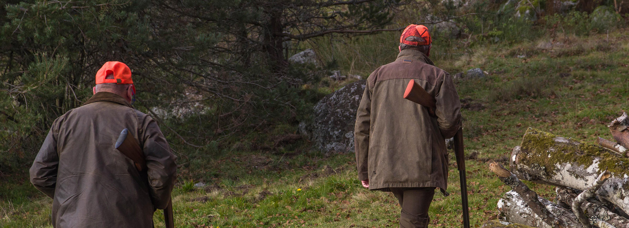 What do hunters use to climb trees? - Bishop Lifting