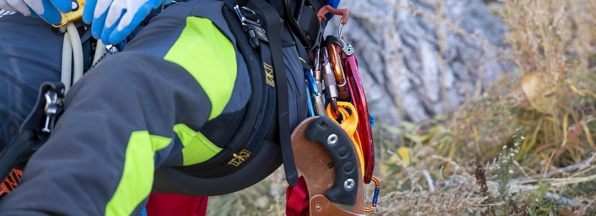 What gear do arborists use? - Bishop Lifting