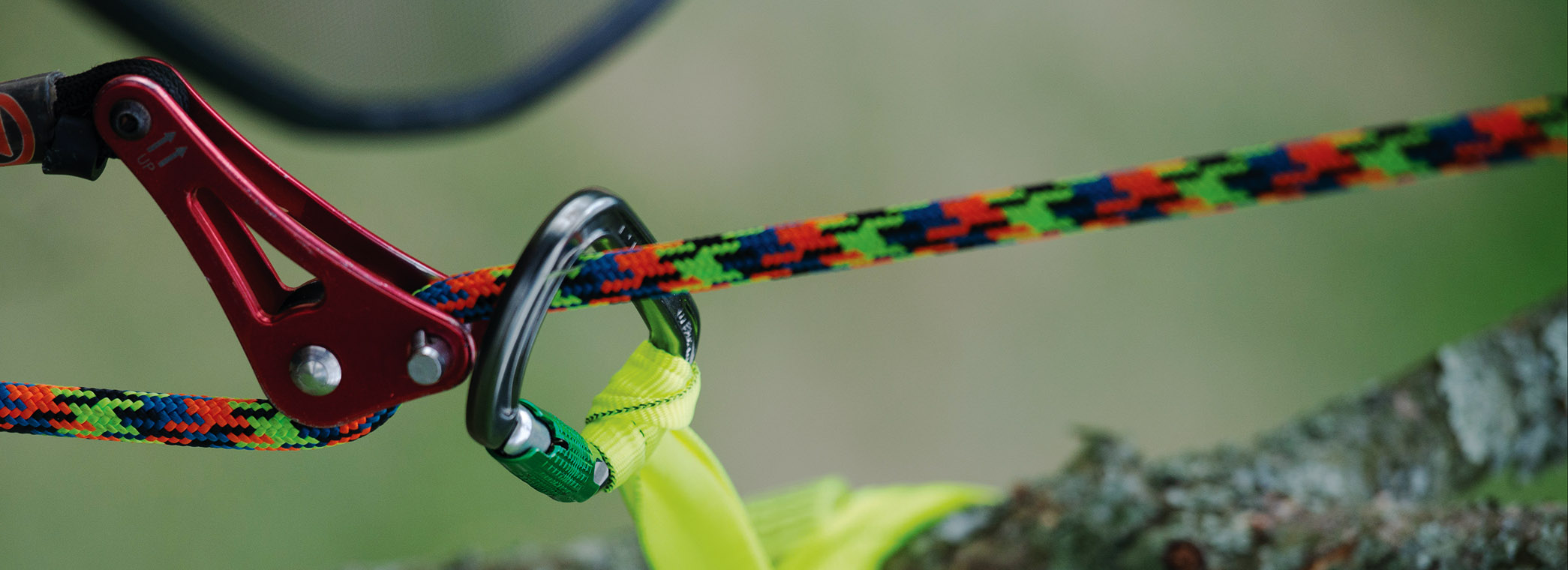 What type of rope do arborists use? - Bishop Lifting