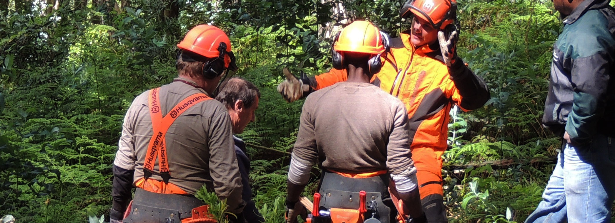 Why do loggers wear aluminum hard hats? - Bishop Lifting