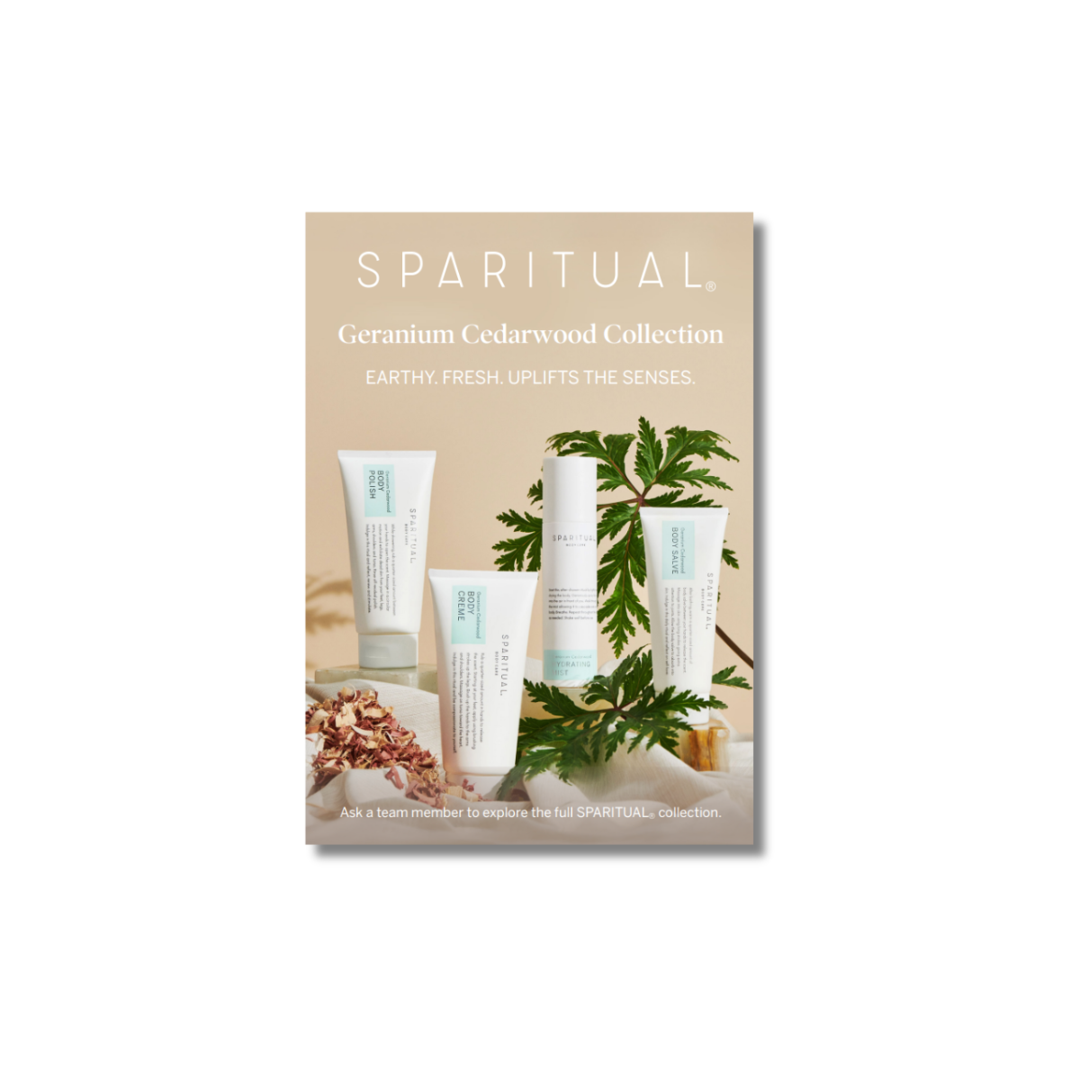 SPARITUAL A5 Strut Card - Geranium Cedarwood | Sweet Squared