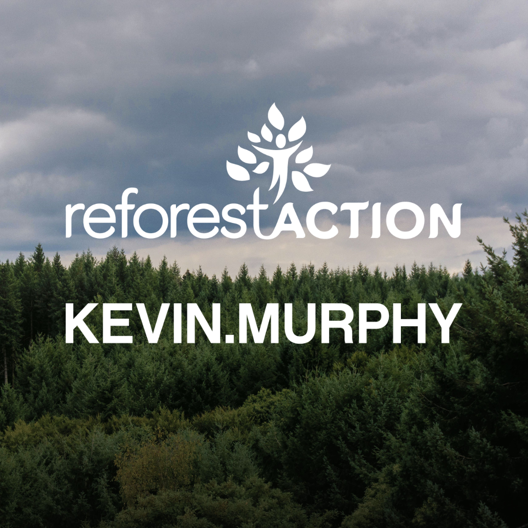 KEVIN.MURPHY X REFOREST'ACTION - Sweet Squared