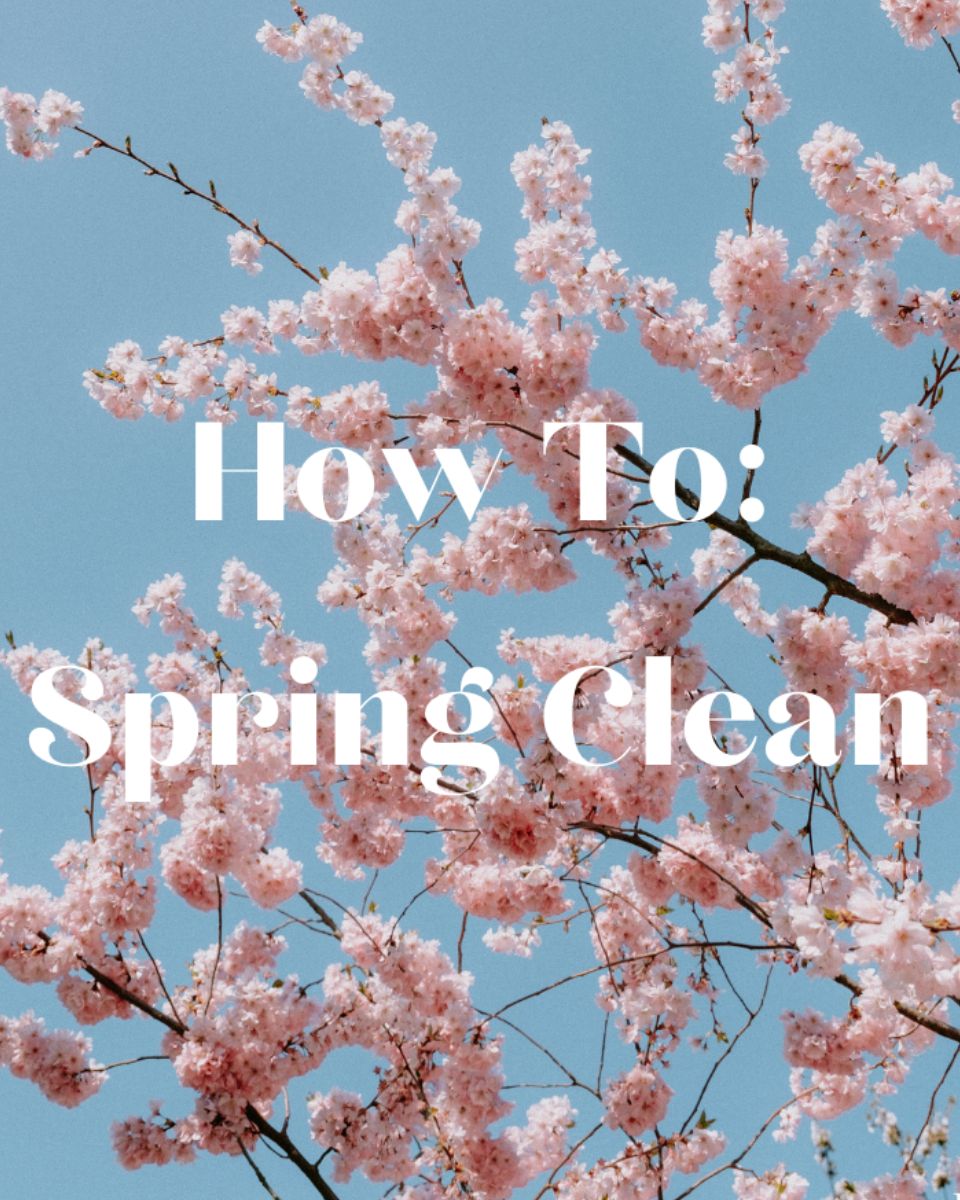 Salon Spring Clean - Sweet Squared