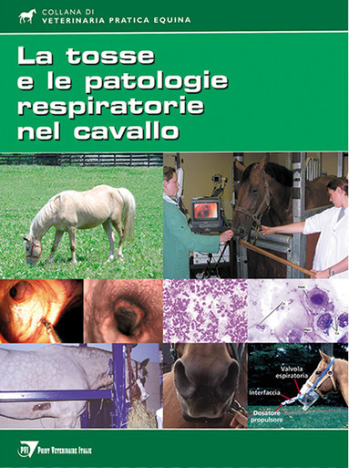 La tosse e le patologie respiratorie nel cavallo | Tecniche Nuove