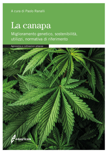 La canapa | Tecniche Nuove