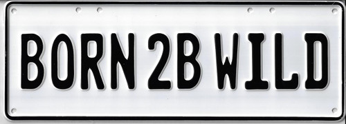 BORN 2B WILD - GR8PLATES