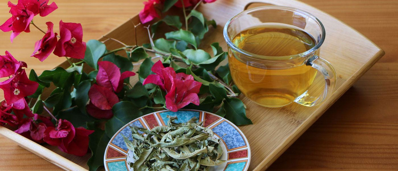 Tea Haven - Premium Teas, Herbs, Special Blends