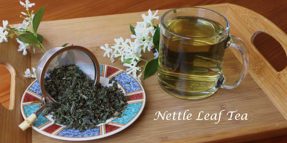 Tea Haven - Premium Teas, Herbs, Special Blends