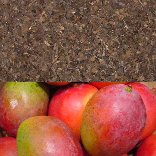 Roasted Yerba Mate Premium Loose Leaf | Tea Haven