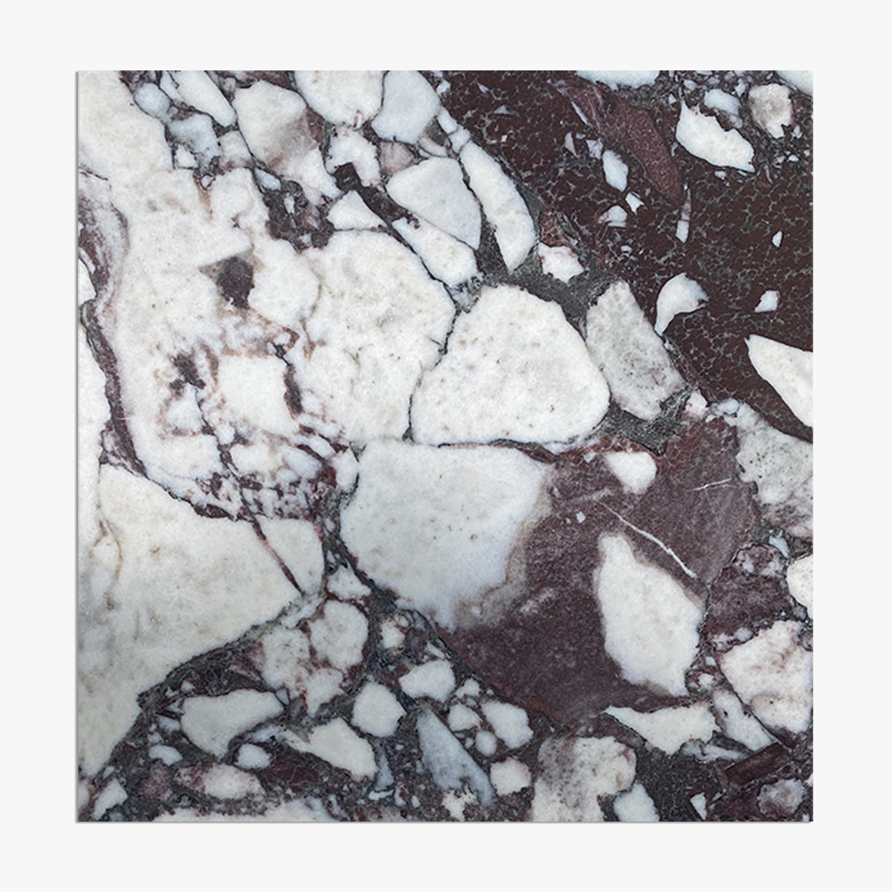 Calacatta Viola Italian Marble 12x12 Tile